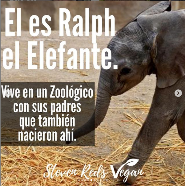 "Soy yo otra vez": la campaña en Instagram que visibiliza a los otros ...