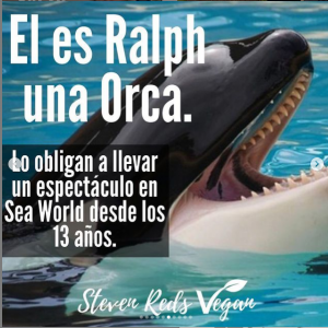 "Soy yo otra vez": la campaña en Instagram que visibiliza a los otros ...