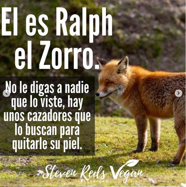 "Soy yo otra vez": la campaña en Instagram que visibiliza a los otros ...