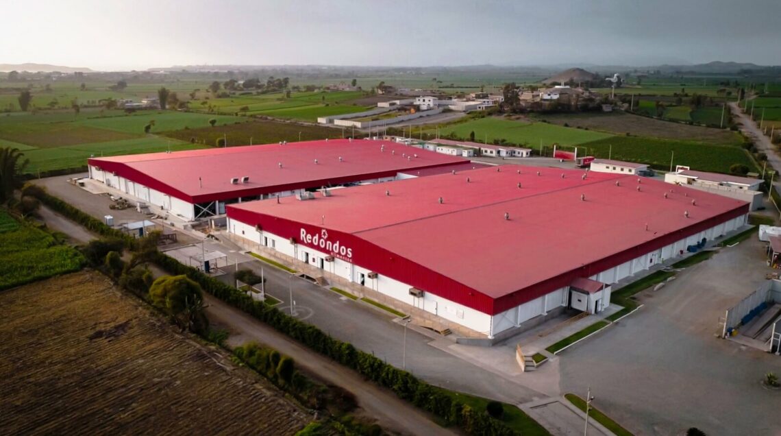 Redondos, la fórmula para alimentar al Perú durante 50 años - Mercado Negro