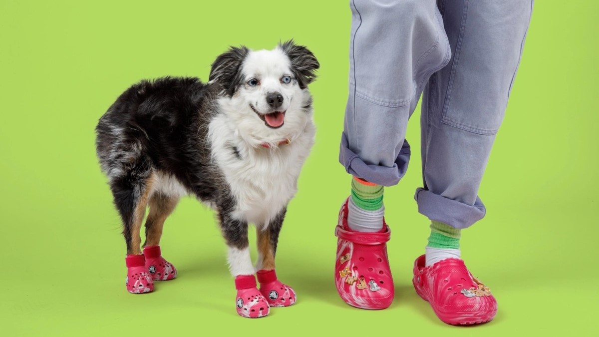 Crocs Presenta Su Nueva L nea De Calzado Para Perros Mercado Negro Crocs Presenta Su Nueva L nea De Calzado Para Perros Mercado Negro